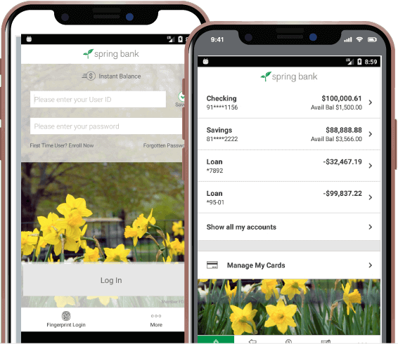 Personal & Business Banking | Spring Bank New York